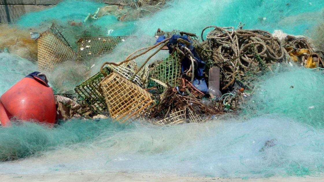 Unsere "Renew Collection" für eine bessere Umwelt – elaja